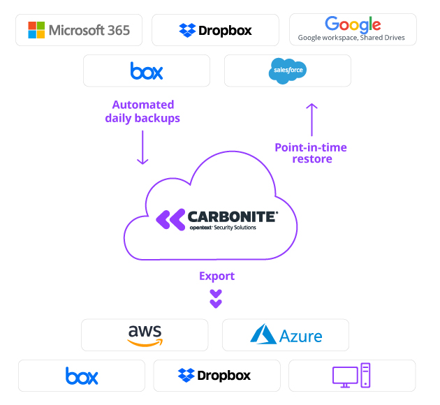 Carbonite - OpenText Security Solutions Distributor | Bluechip IT ...