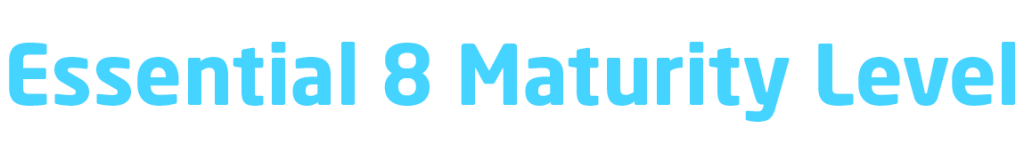 Essential 8 Maturity Levels | Bluechip IT