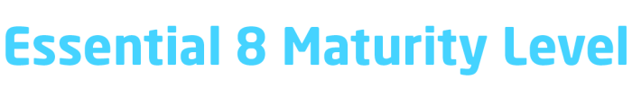 Essential 8 Maturity Levels | Bluechip IT