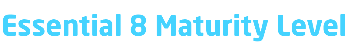 Essential 8 Maturity Levels | Bluechip IT